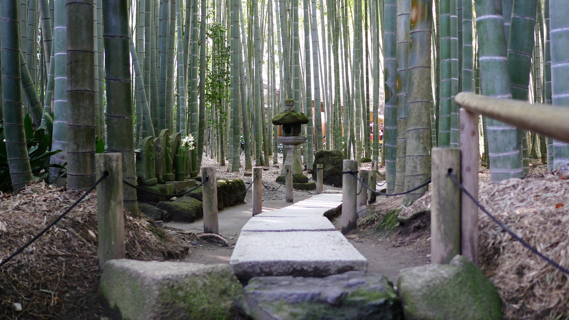 Hokokuji Temple - TokyoStreetView