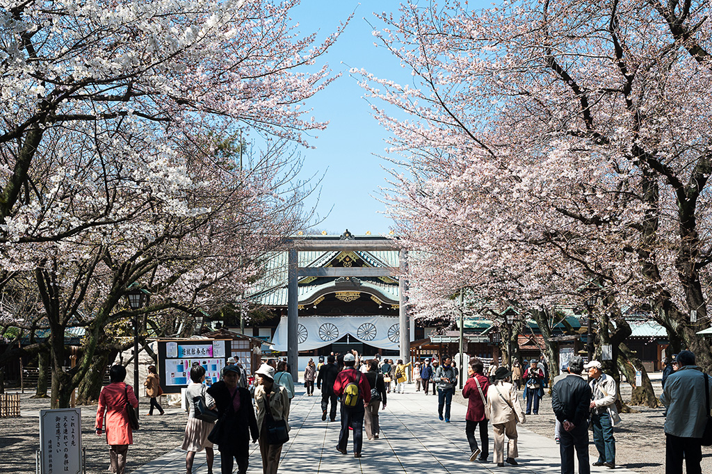 Yasukuni Shrine (The Sakura Shrine) - TokyoStreetView